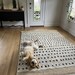 Moroccan Irregular Dot Rug Best Ivory Washable Rug Black Dots Rug ...