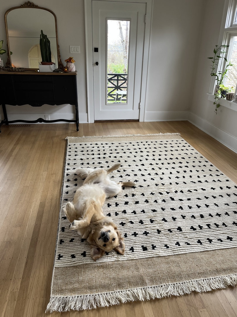 Moroccan Irregular Dot Rug Best Ivory Washable Rug Black Dots Rug ...