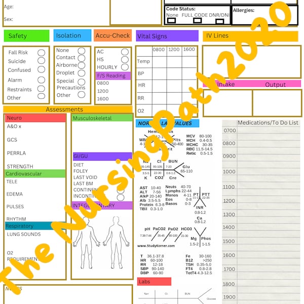 Nursing Lab Report - Etsy