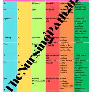 Cranial Nerve Functions Chart: Mnemonic - Nursing Medical Students ...
