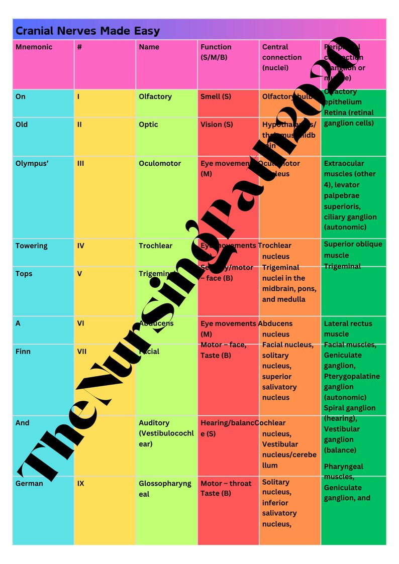 Cranial Nerve Functions Chart: Mnemonic - Nursing Medical Students ...