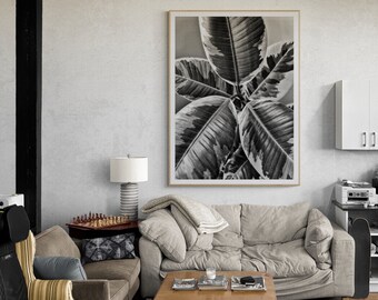 Printable Fiddle Leaf Fig Line Art DIGITAL DOWNLOAD Black and White ...