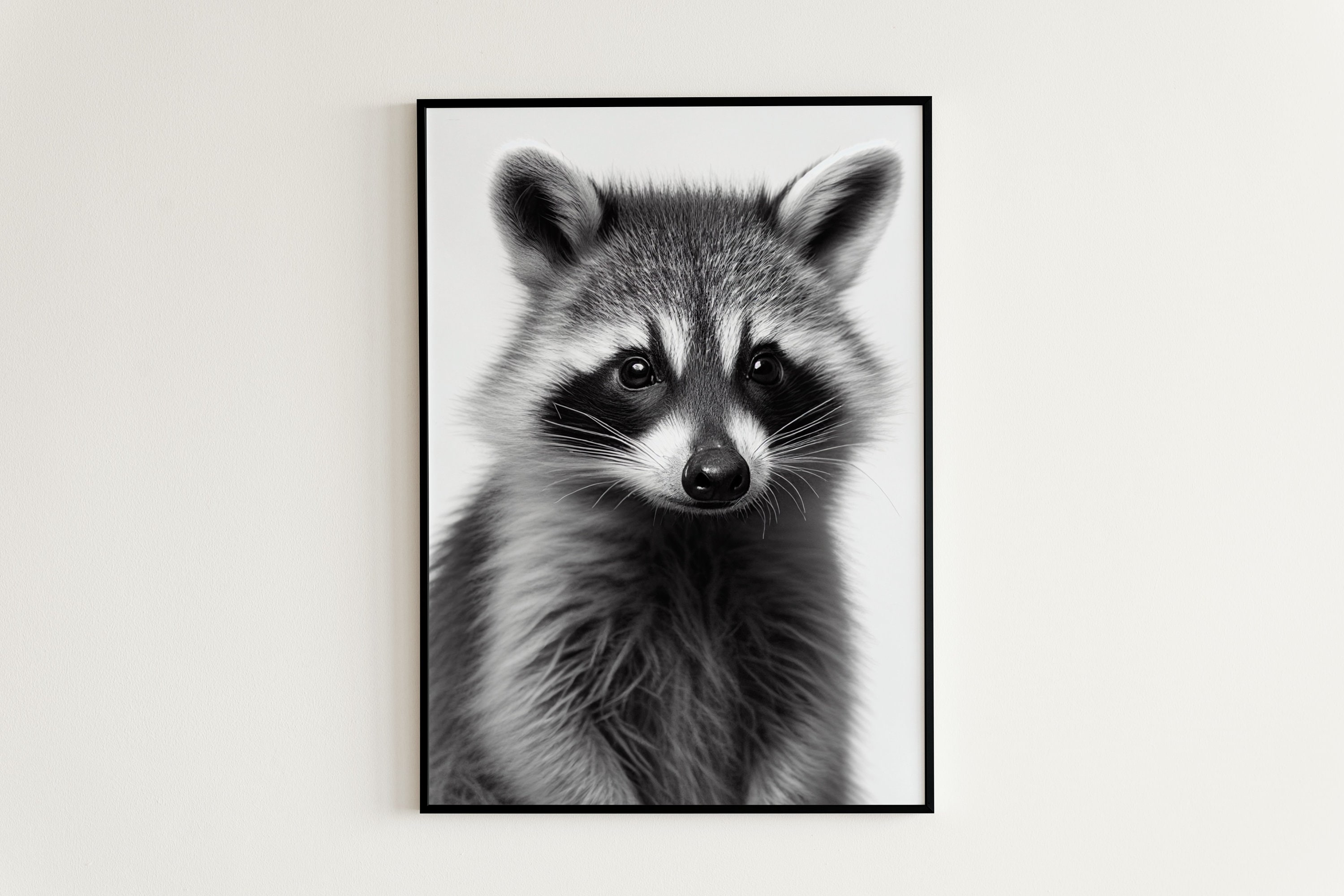 CUTE RACCOON Photo Download, Raccoon Art, Raccoon Print, Printable ...
