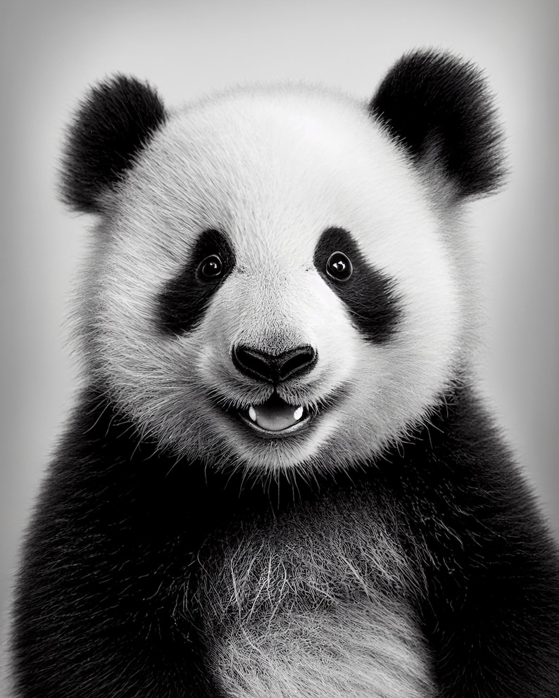 SMILEY PANDA Photo Download, Panda Art, Panda Print, Printable Panda ...