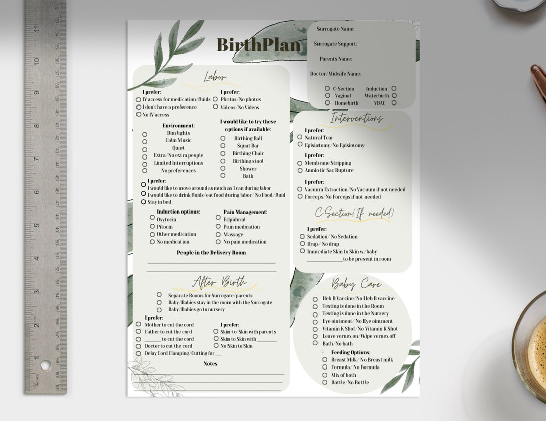 Surrogate Birth Plan Template Simple Printable Birthing Plan - Etsy