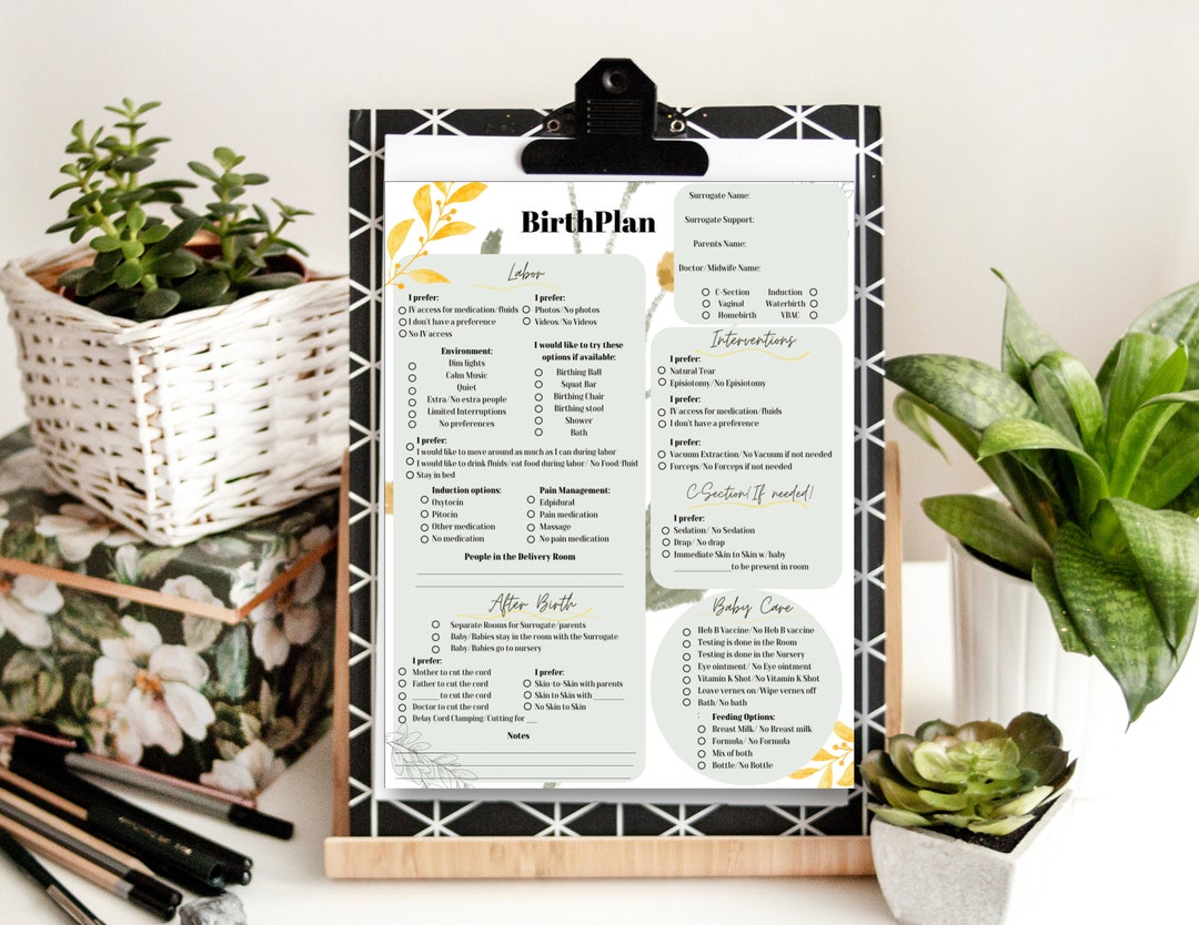 Surrogate Birth Plan Template| Simple Printable Birthing Plan| Labor ...