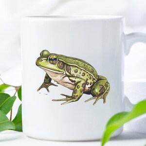 Frog Svg Bundle, Cute Frog Svg, Froggy Clipart, Animal Wildlife Png ...