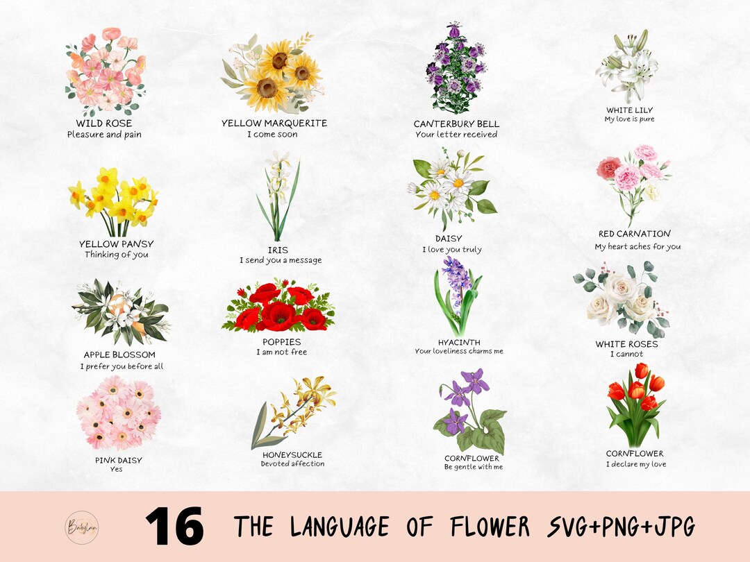 The Language of Flower Jpg, Wildflower Svg Png, Poppy Svg, Lily Flower ...