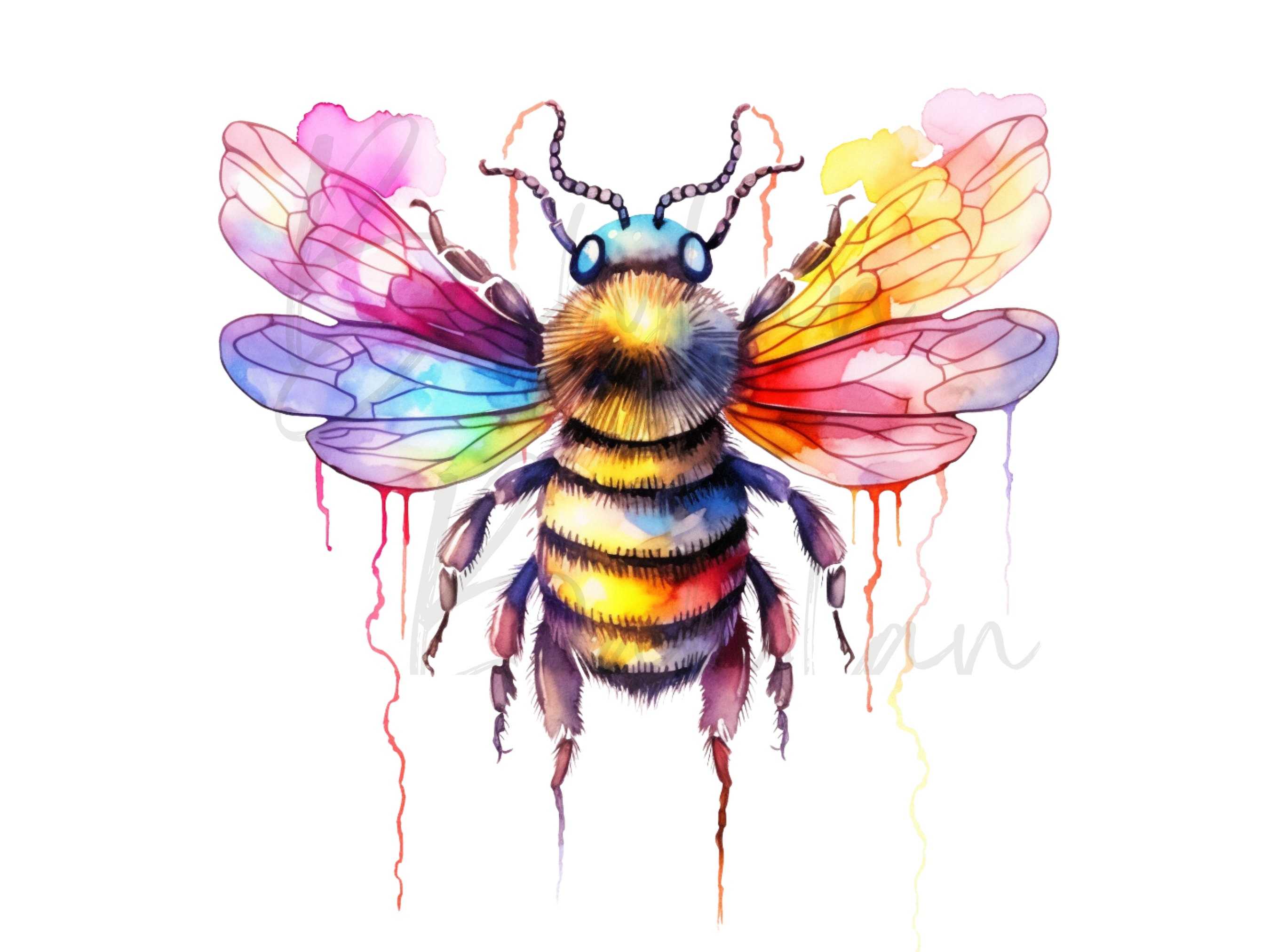 Bee Svg Bundle Cute Bee Svg Insect Silhouette Png Funny - Etsy