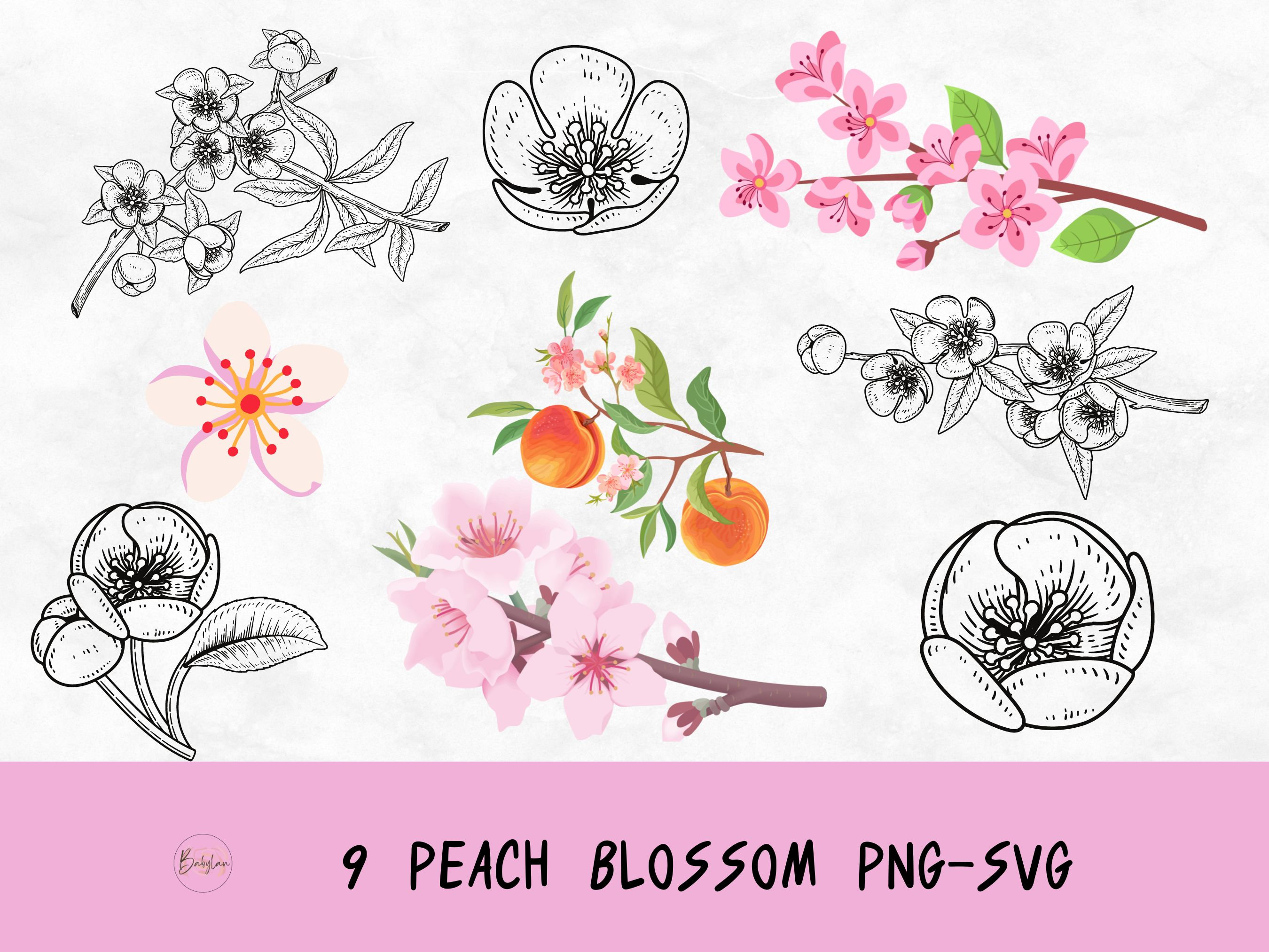 Peach Blossom Clipart