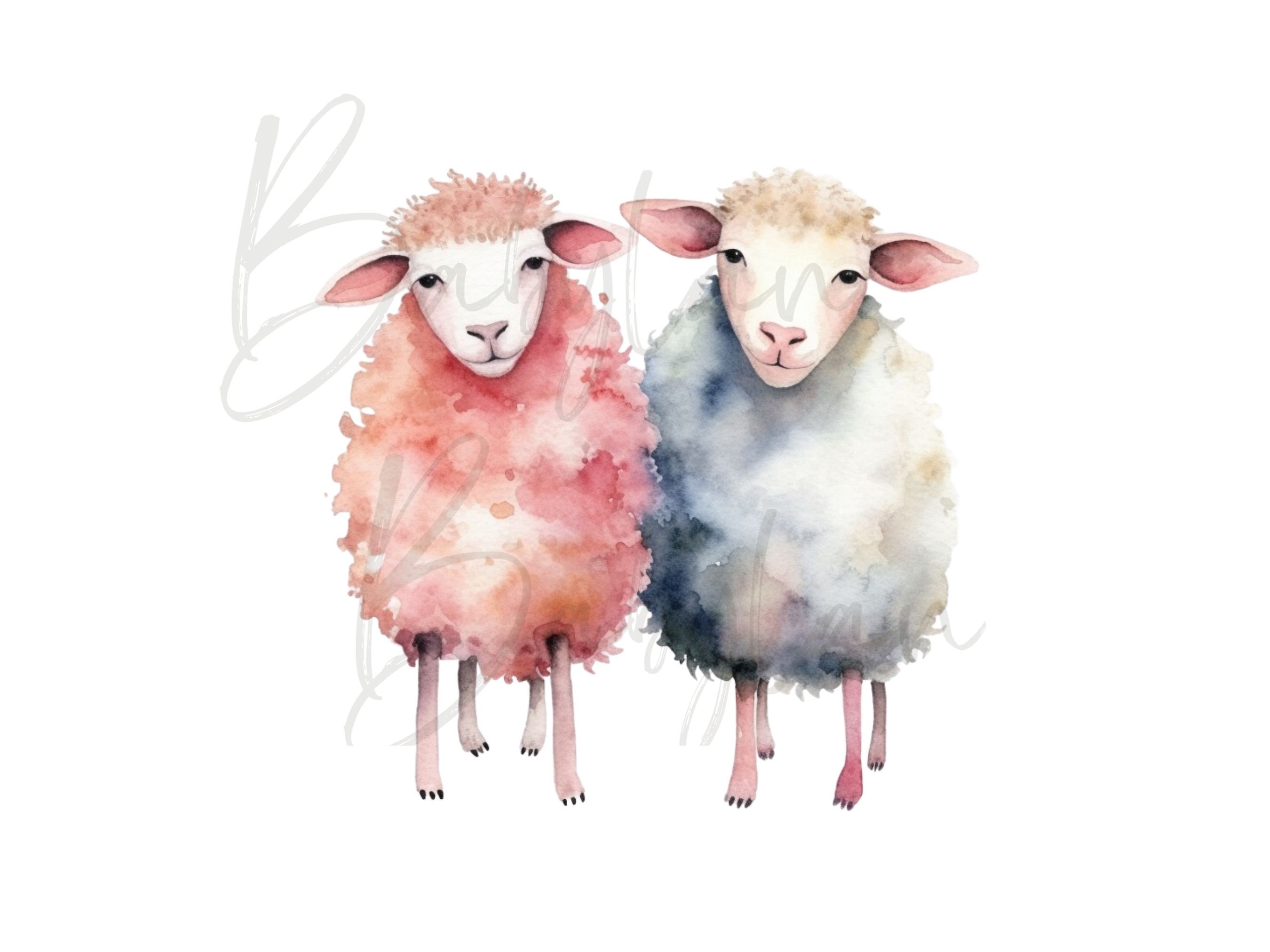 Watercolor Sheep Svg Bundle Baby Sheep Set Clipart - Etsy