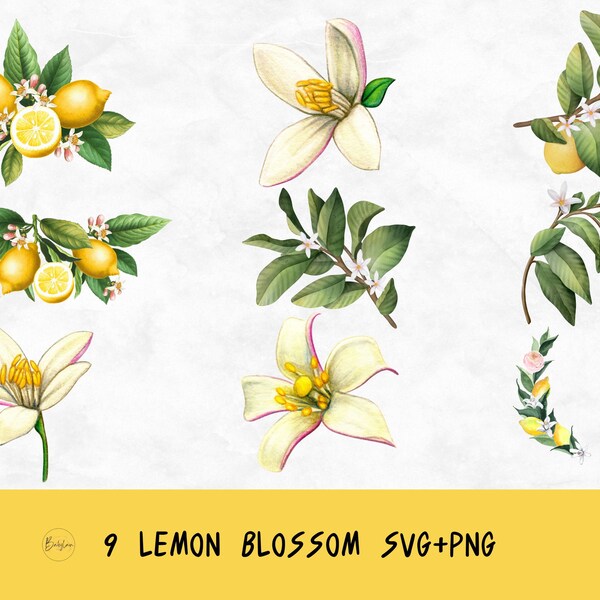 Lemon Flower - Etsy