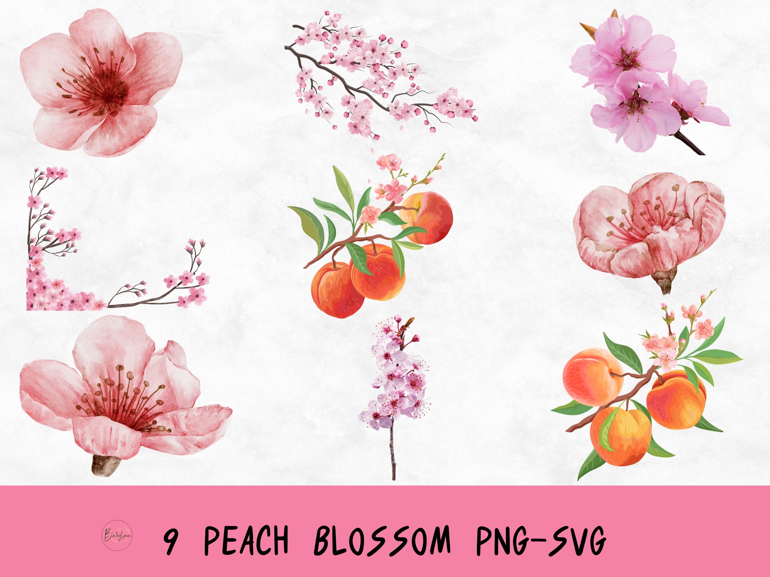 Peach Blossom Clipart