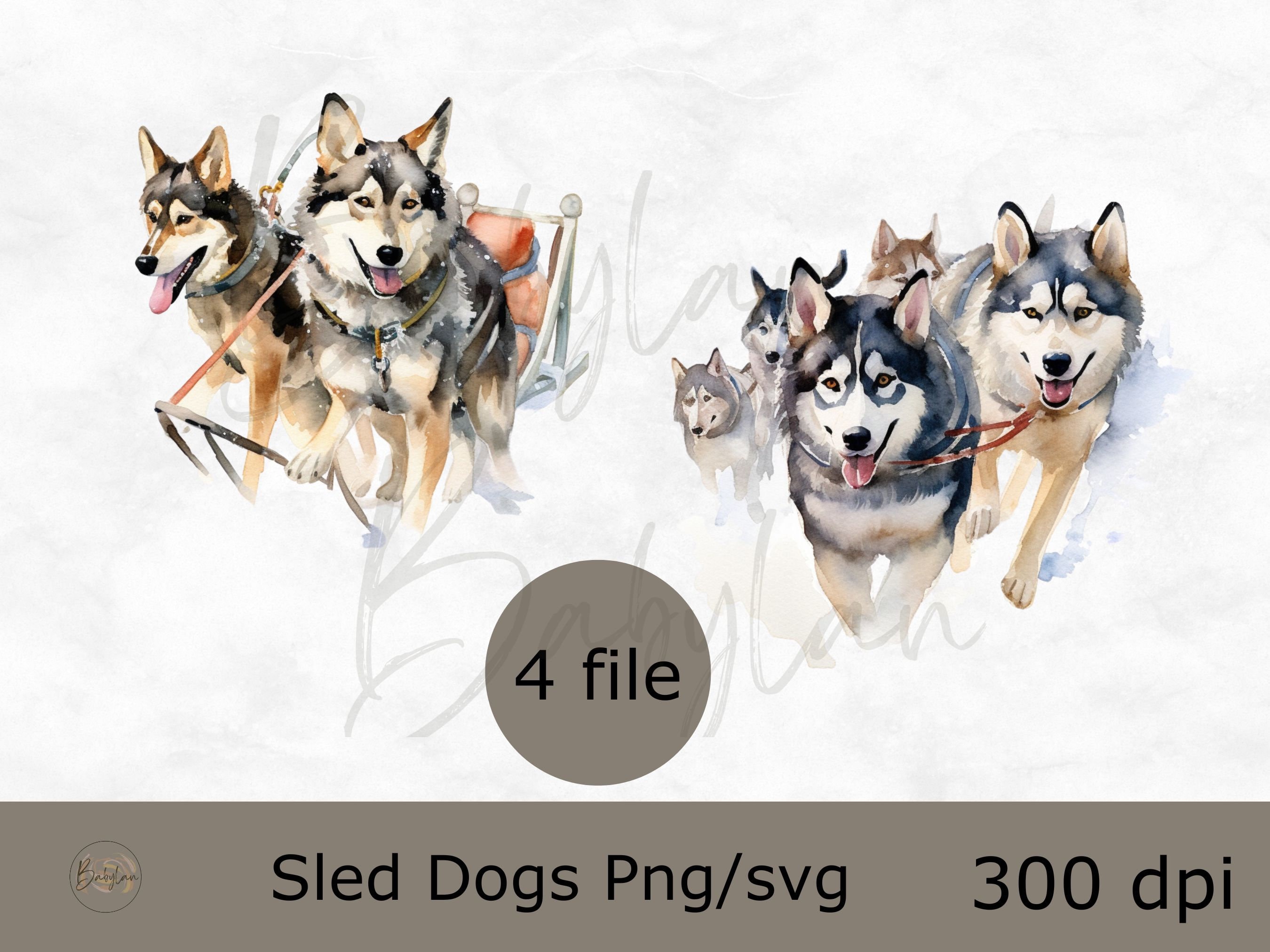 Dog Sled Team Clip Art