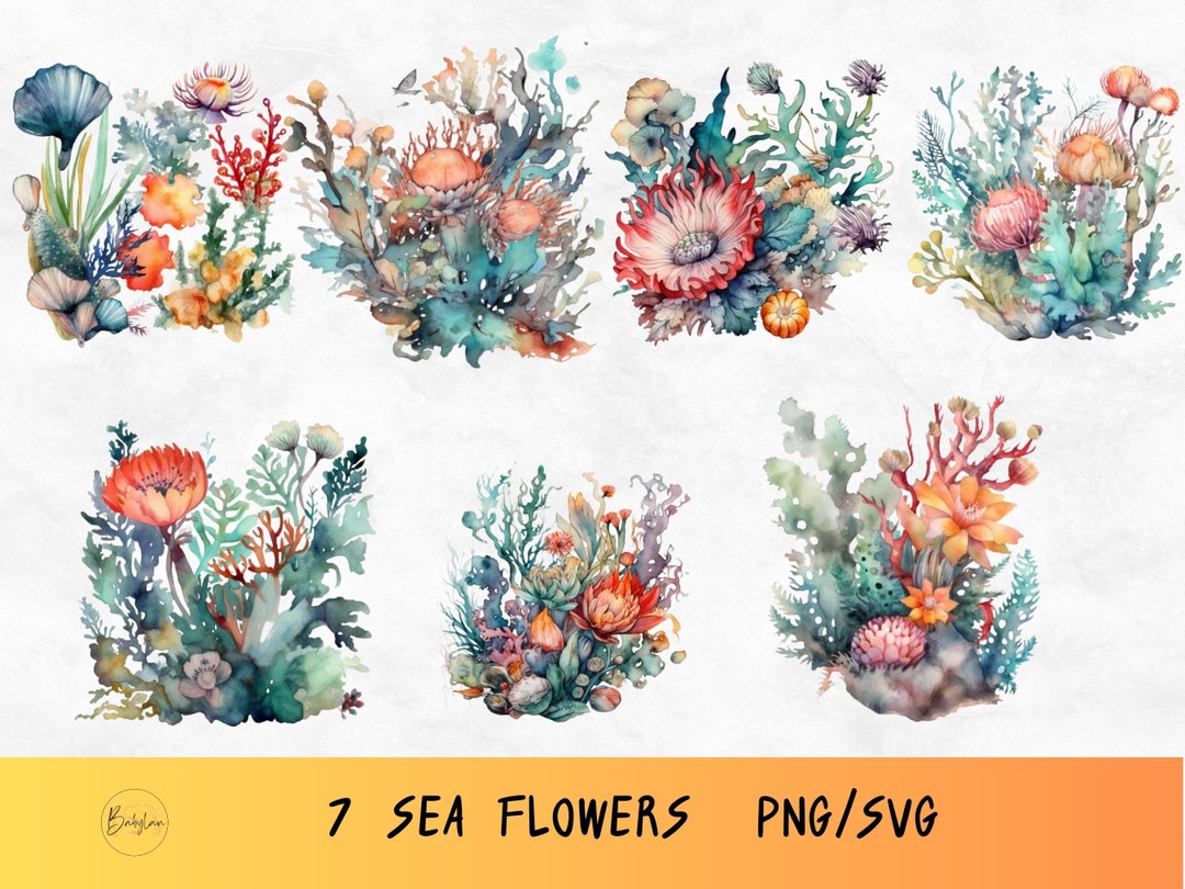 Coral Reef Svg, Seaweed Png, Ocean Svg, Underwater Plant Png ...