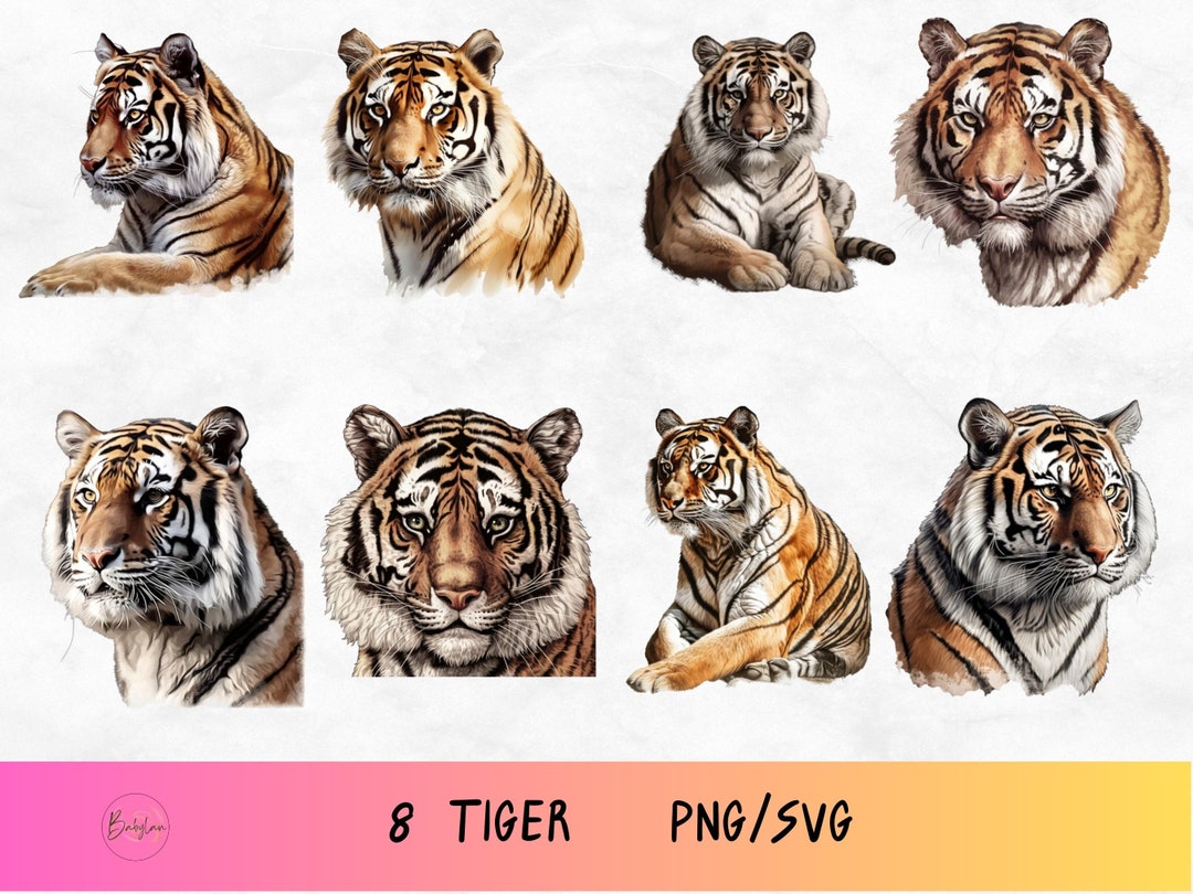 Tiger Svg Bundle Cute Tiger Svg African Wildlife Safari Etsy
