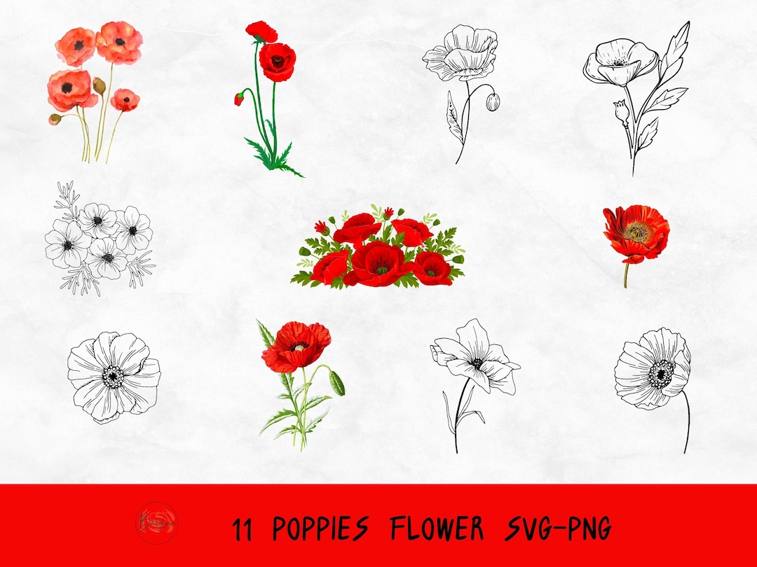 Poppy Flower Svg, Red Poppy Png, Pastel Floral Clipart, Cute Floral Svg ...