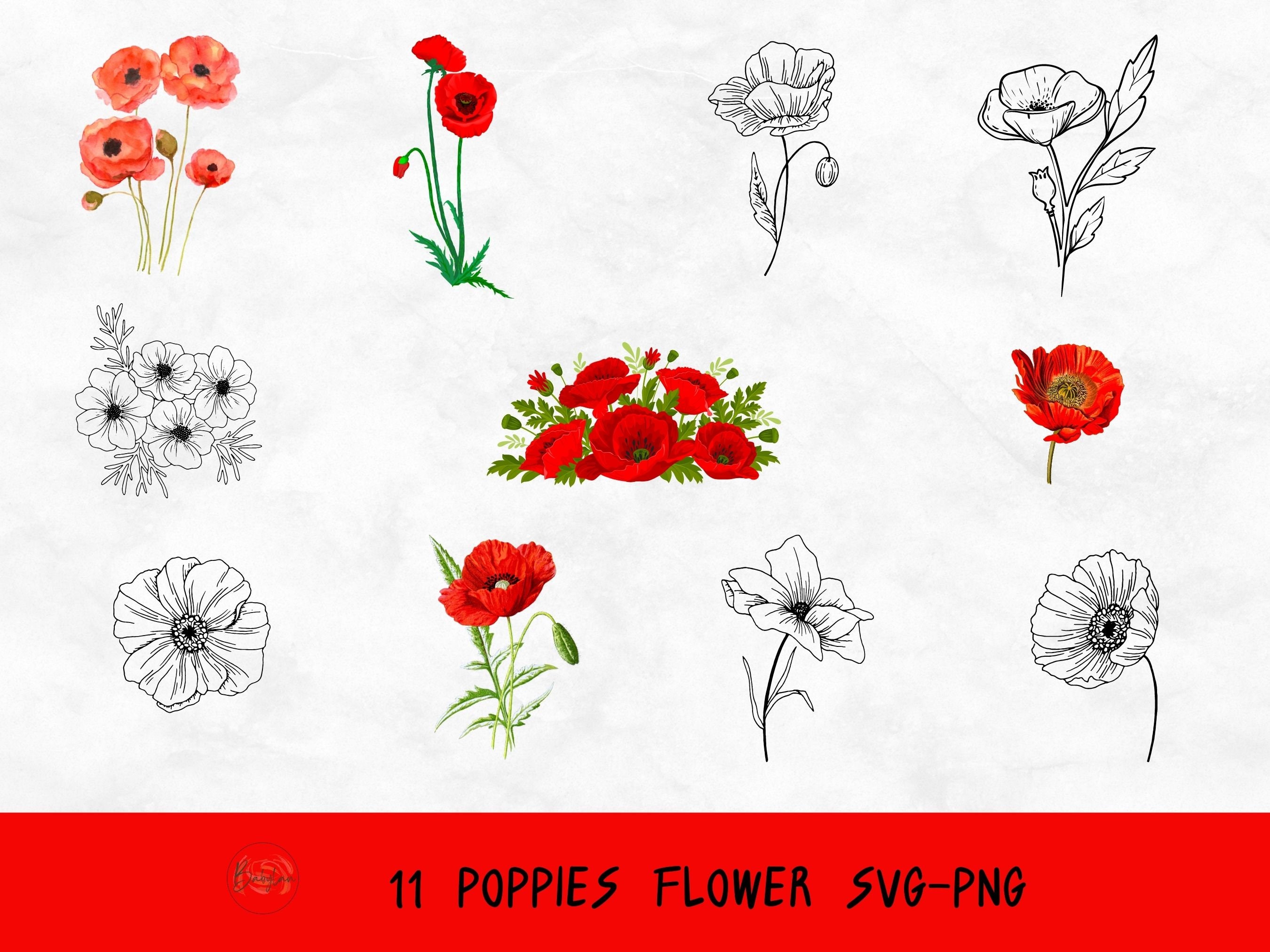Red Poppy Flower Vector