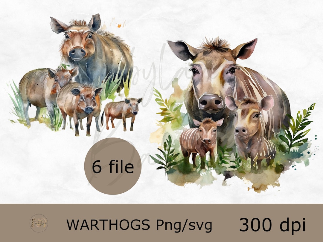 Warthog Svg Bundle, Cute Warthog Svg, Pumbaa Png, Hakuna Matata Design ...