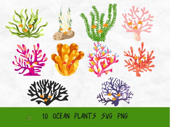 Ocean Plants Clipart