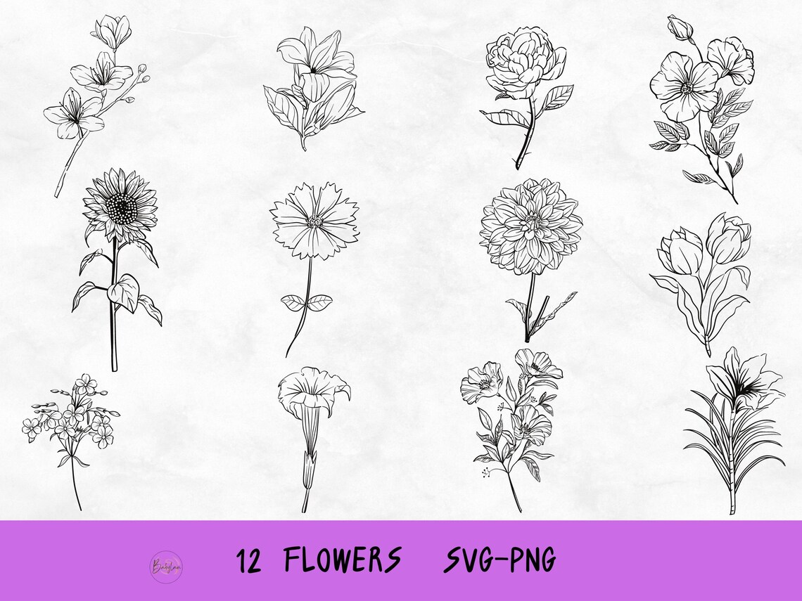 Flower Svg Bundle, Floral Set Clipart, Botanical Clipart, Hand Drawn ...