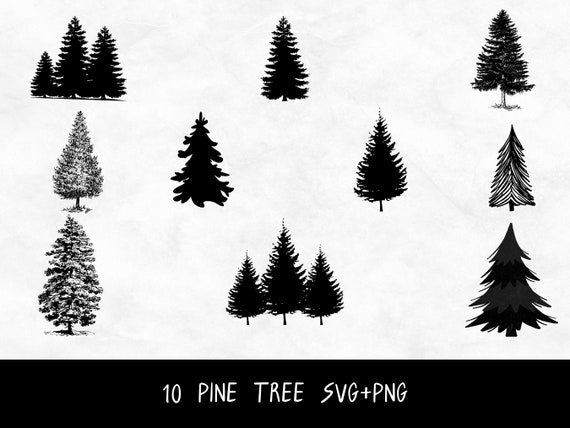 Pine Tree Vector Free Download
