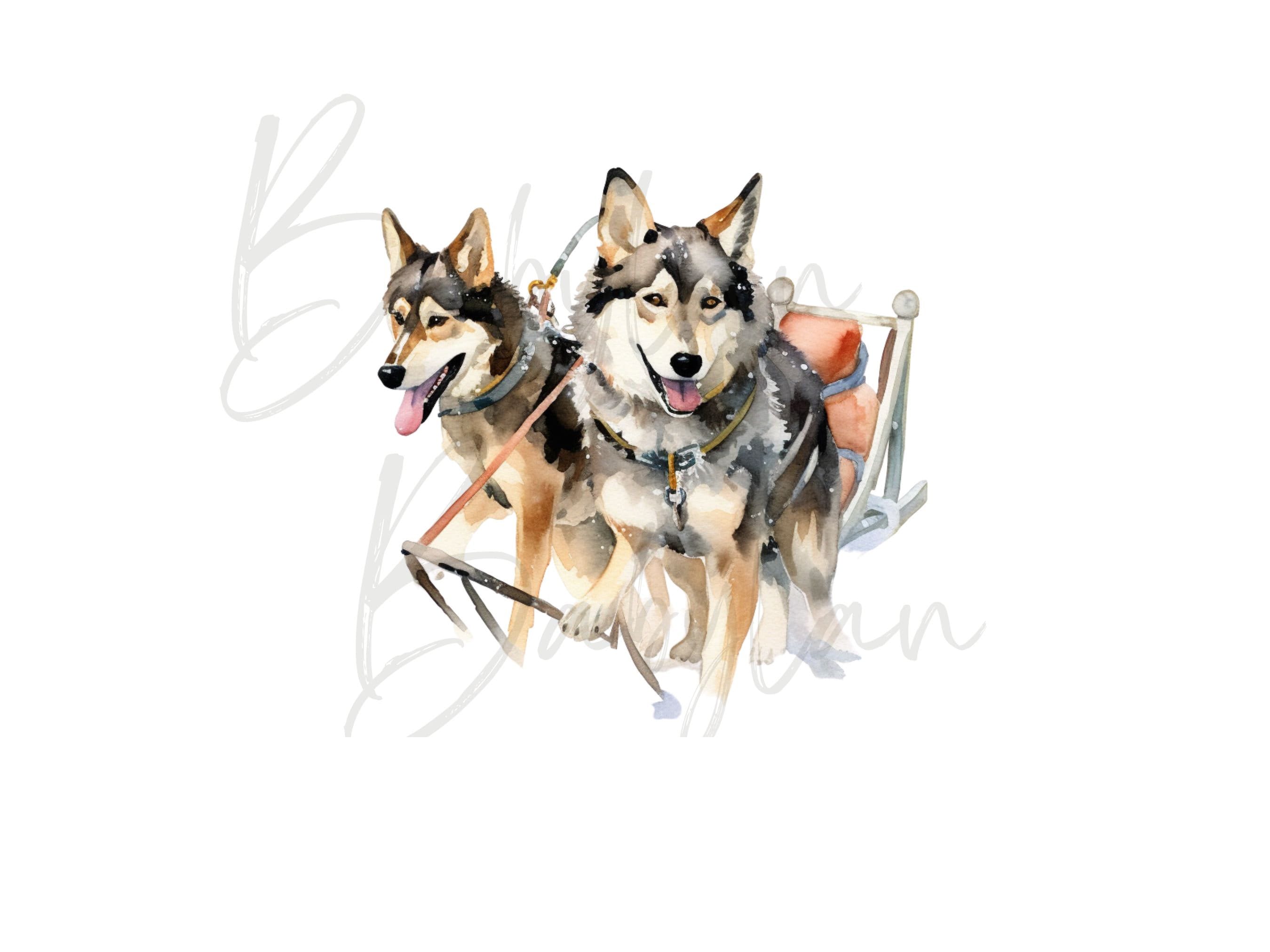 Sled Dogs Clip Art