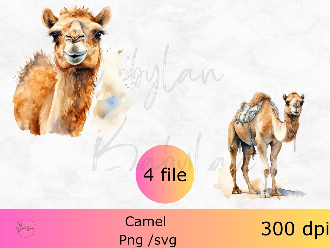 Camel Svg Bundle, Cute Camel Svg, Desert Animal Clip Art, Egypt Animal ...