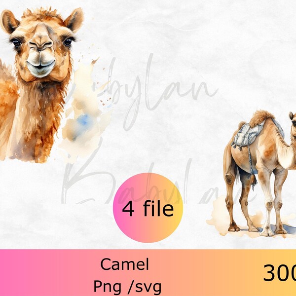 Desert Animals Clip Art - Etsy