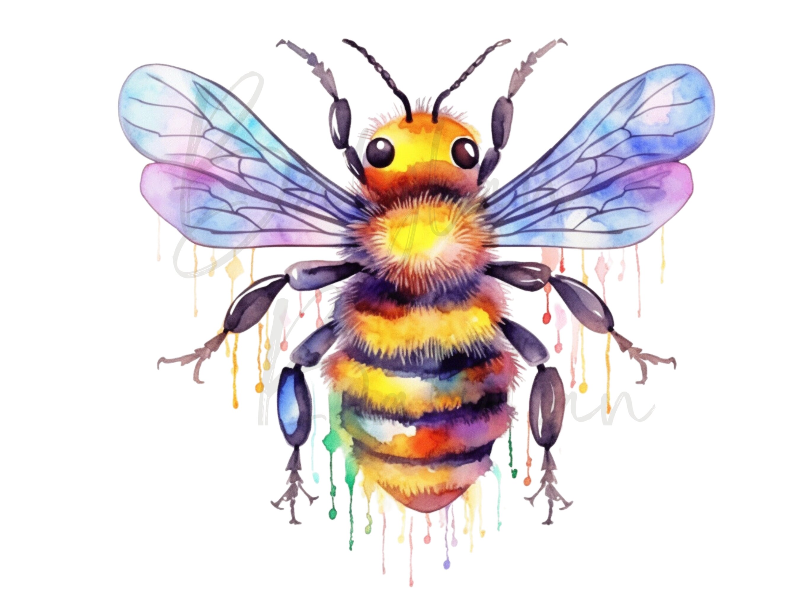 Bee Svg Bundle Cute Bee Svg Insect Silhouette Png Funny - Etsy