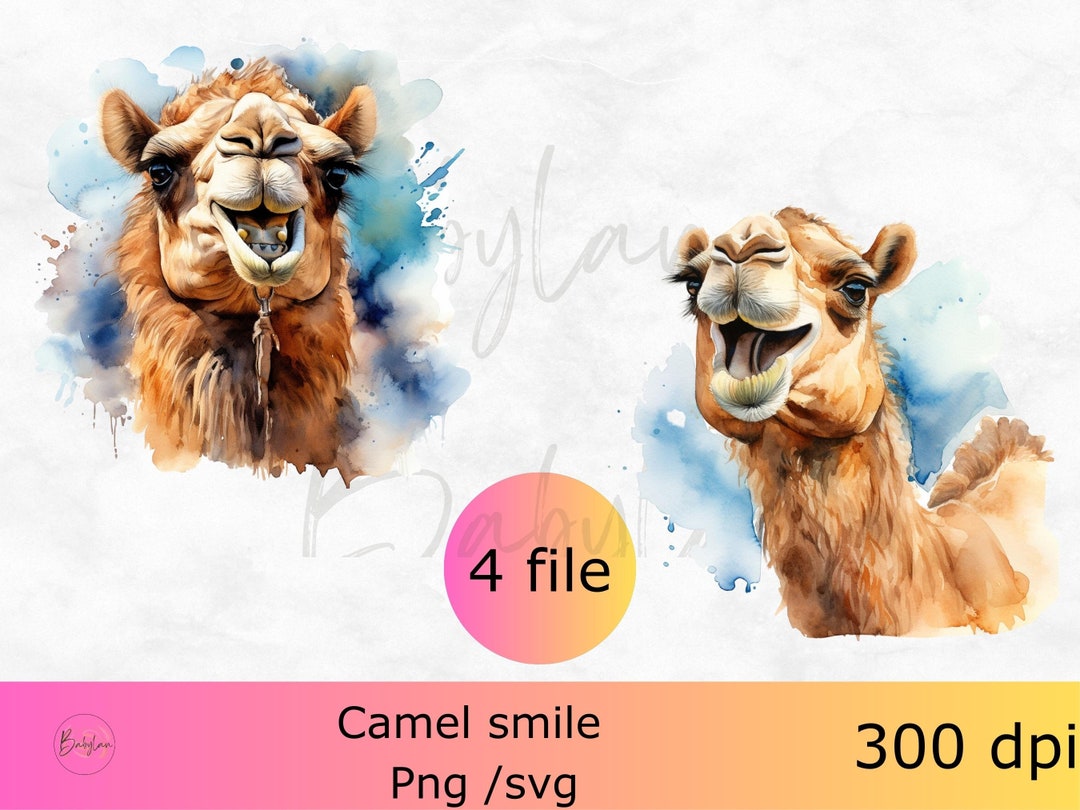 Camel Svg Bundle, Cute Camel Svg, Desert Animal Clip Art, Egypt Animal ...