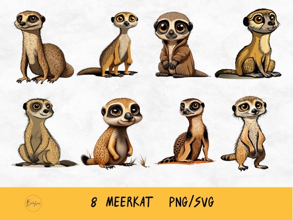 Meerkat Timon