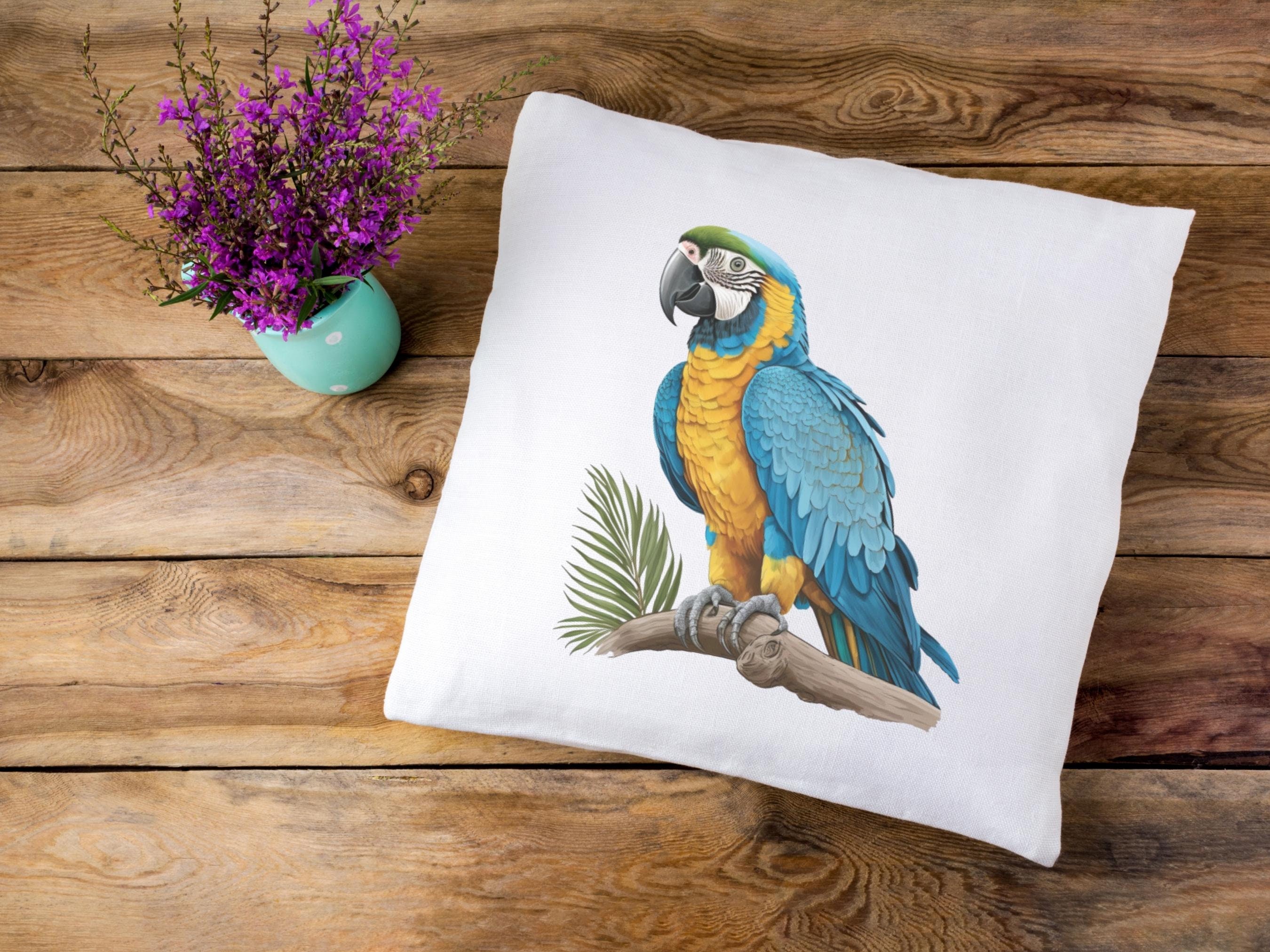 Parot Svg Bundle Cute Parot Svg Colored Bird Silhouette Png - Etsy Canada