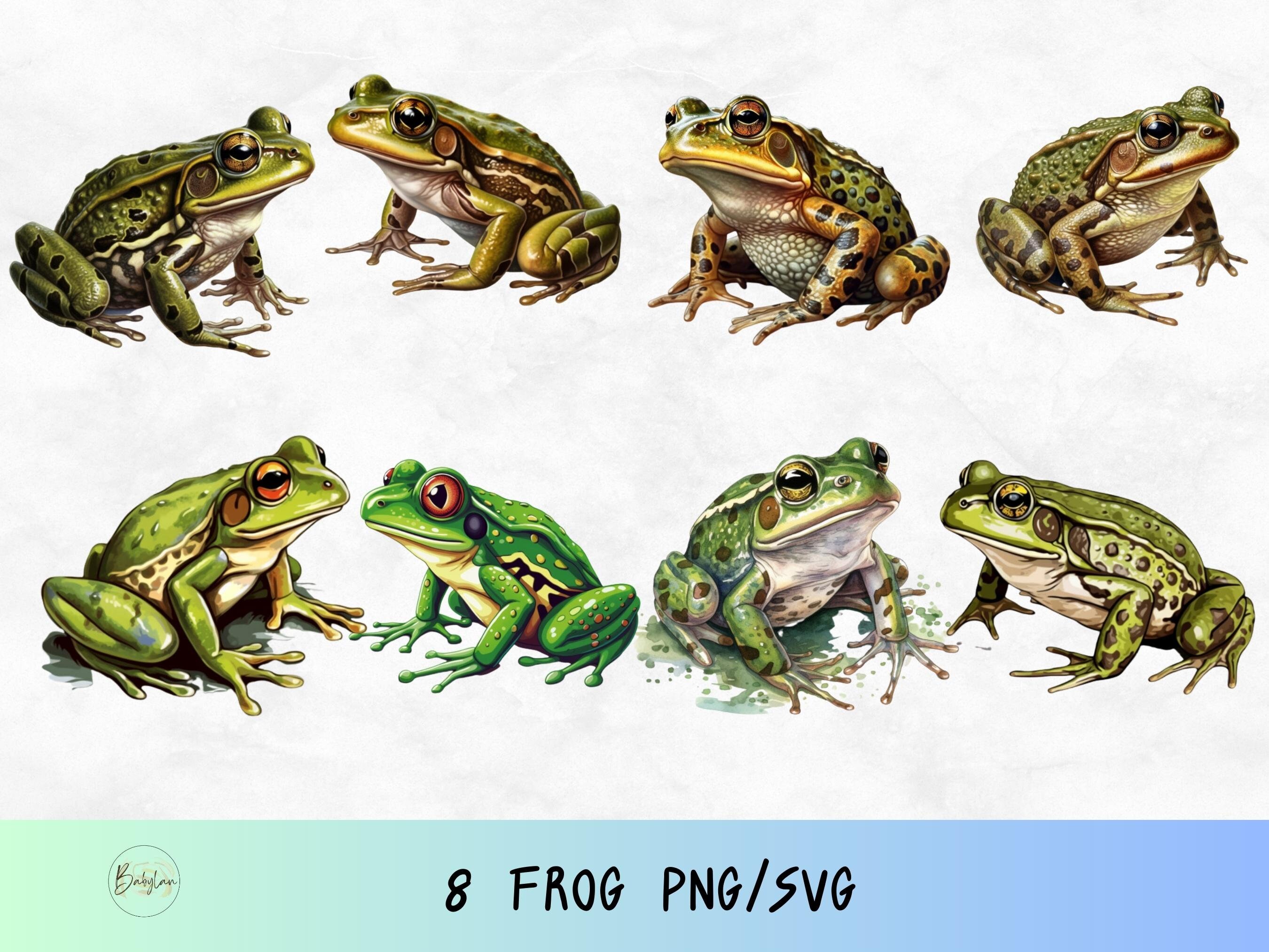 Frog Svg Bundle, Cute Frog Svg, Froggy Clipart, Animal Wildlife Png ...