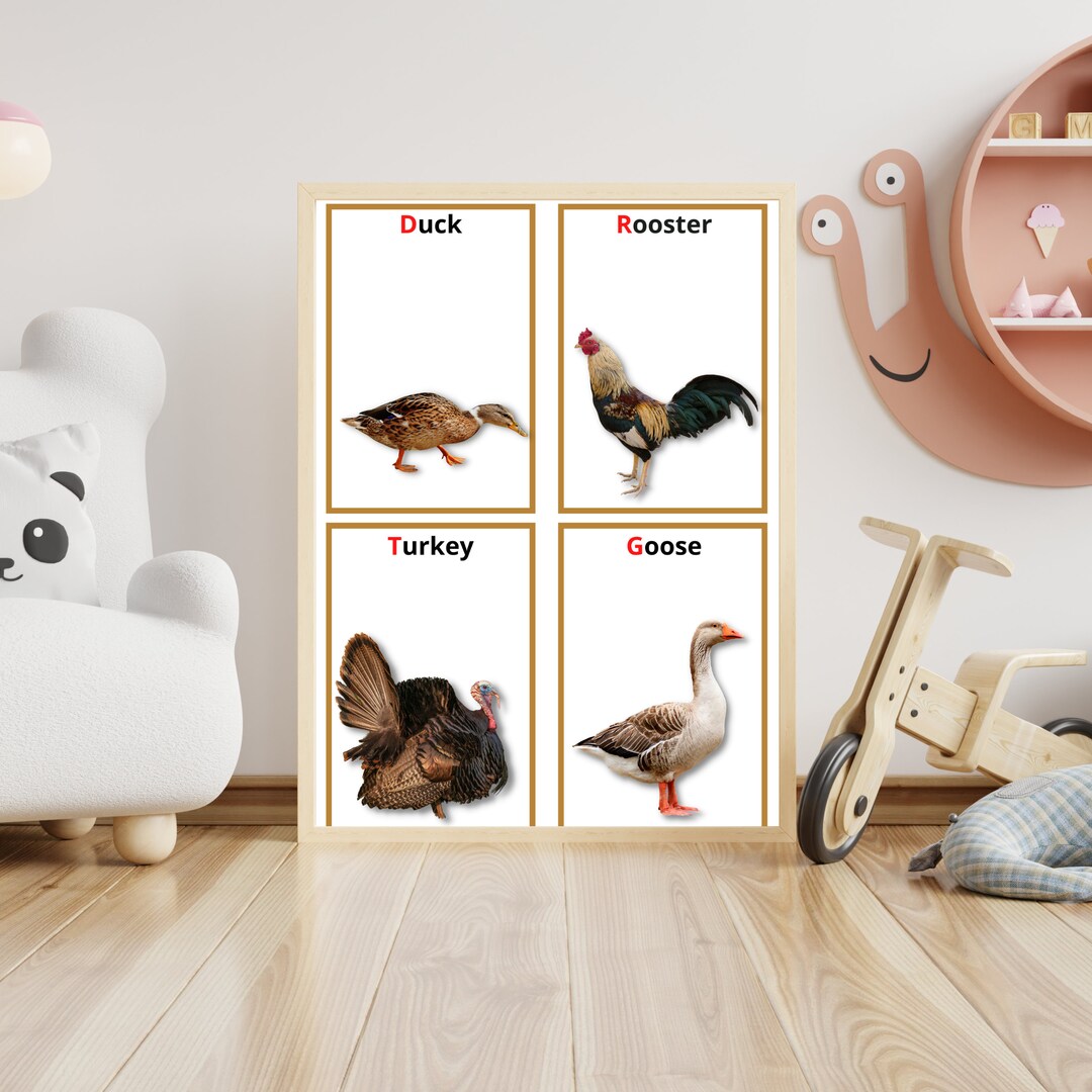 Farm Animals Flashcards for Toddlers in English, Romanian, Russian and ...