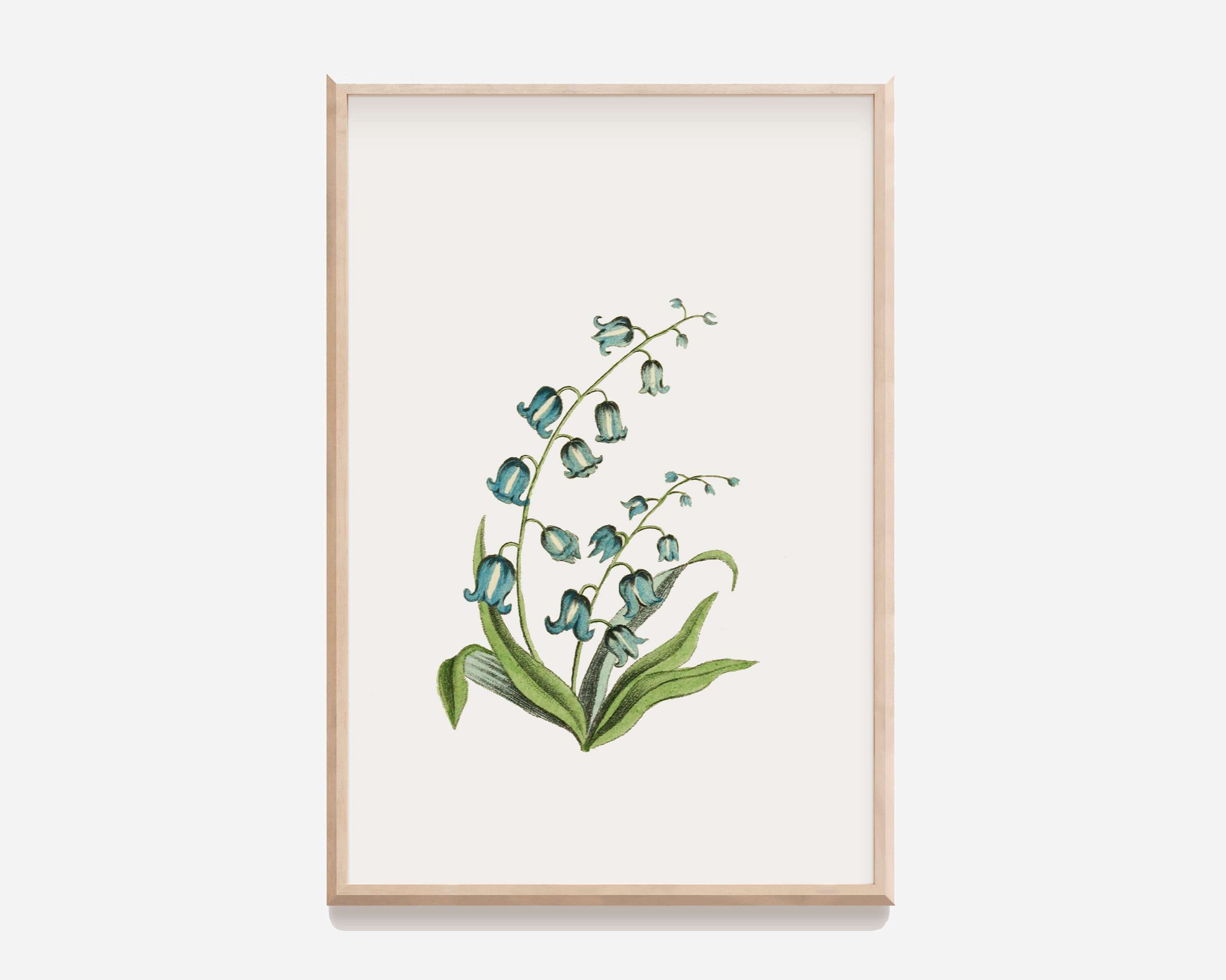 Vintage Bluebell Flower Print Blue Delicate Plant Digital Download Wall ...