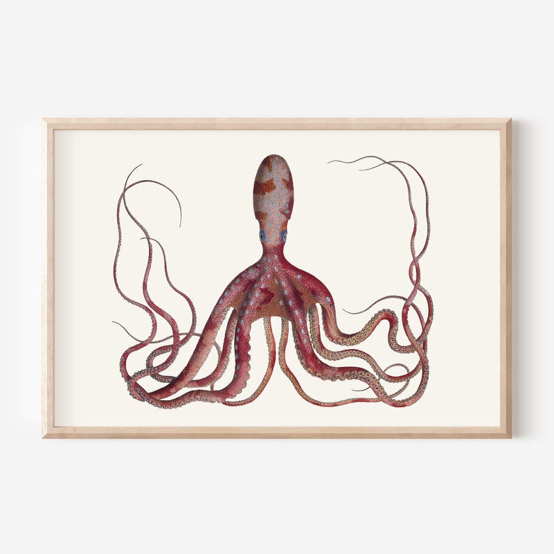 Vintage Octopus Art - Etsy