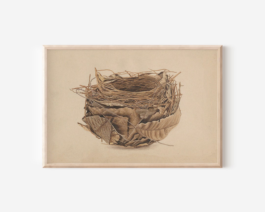 Vintage Birds Nest Art Print Charming Nest Poster Easter Art Digital ...