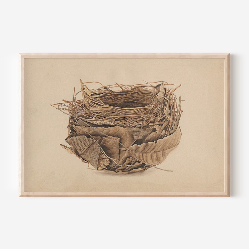 Bird Nest Art - Etsy