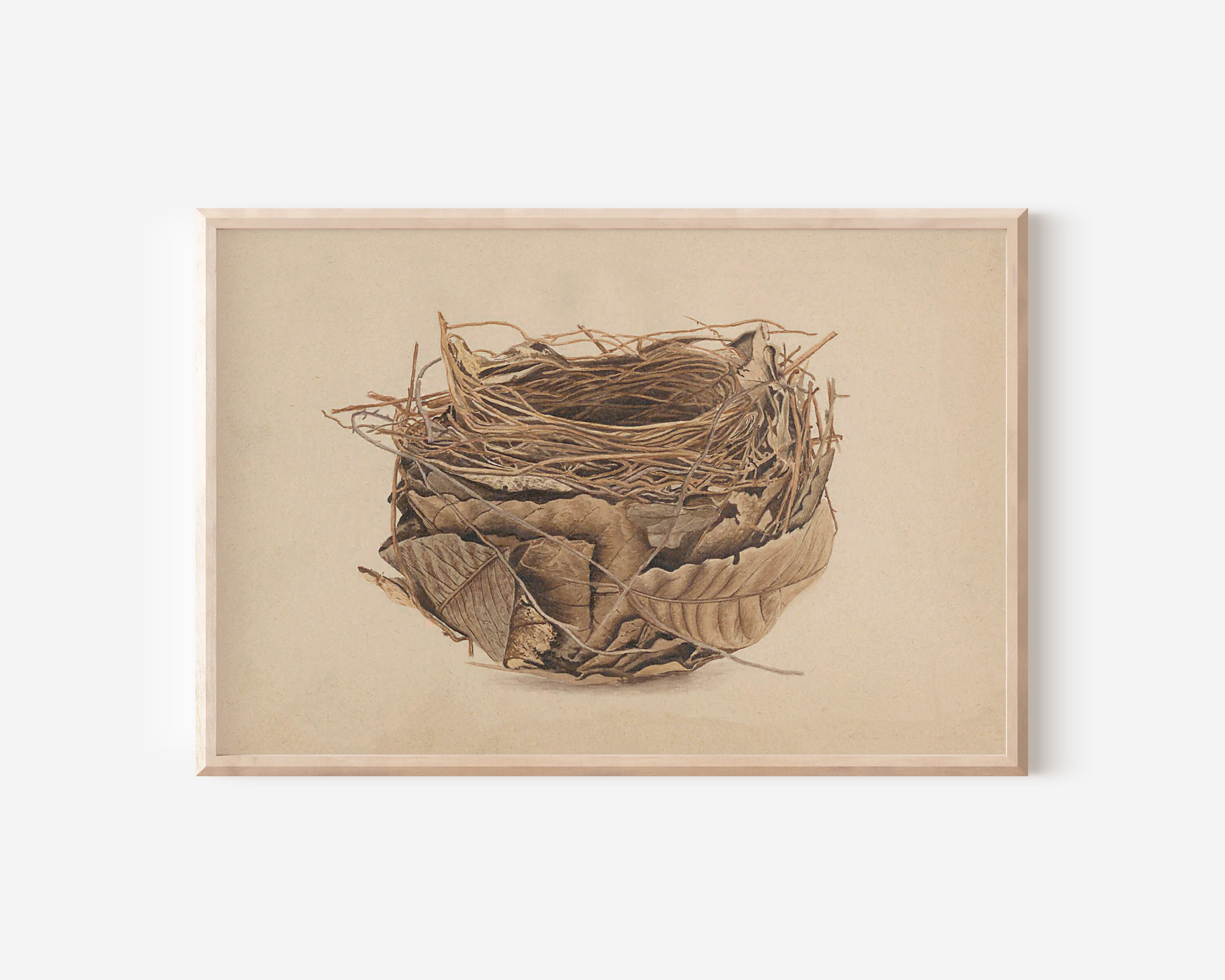 Vintage Birds Nest Art Print Charming Nest Poster Easter Art Digital ...
