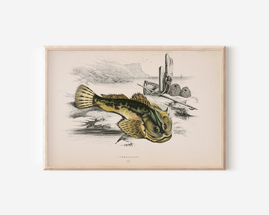 Vintage Fish Art Print, Hand Drawn Fisherman Poster, Fish Species ...