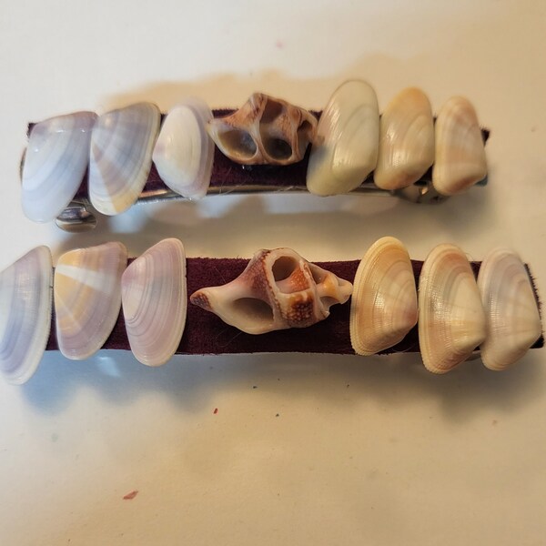 Sea Shell Bow - Etsy