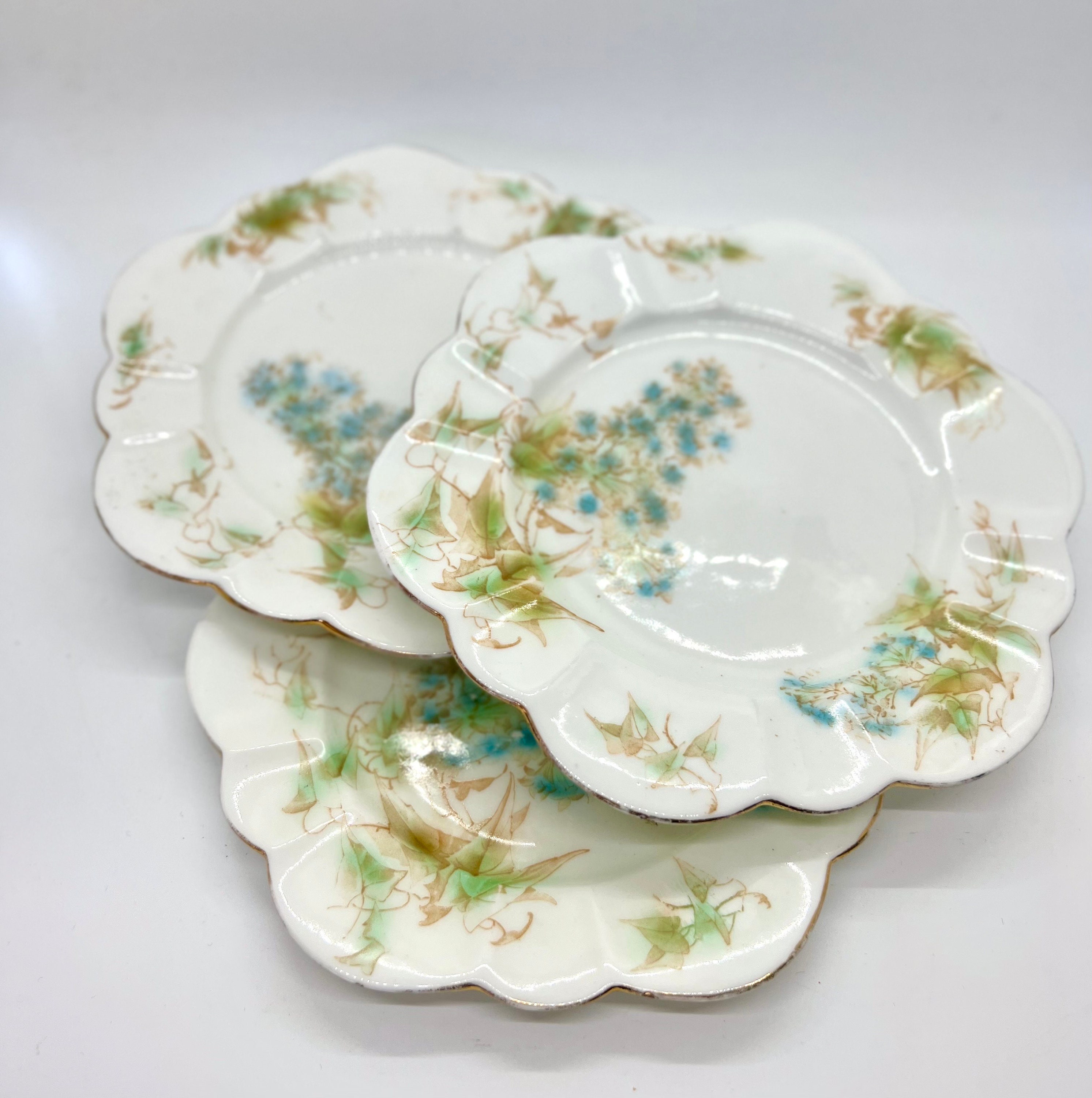 Antique Foley China Plate 3 Foley China England Antique Plates Foley ...