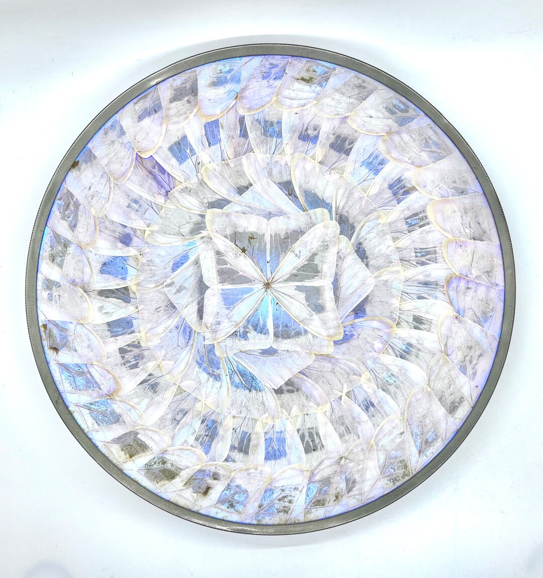 Vintage Brazilian Butterfly Wing Plate Vintage Butterfly Wall Plate ...