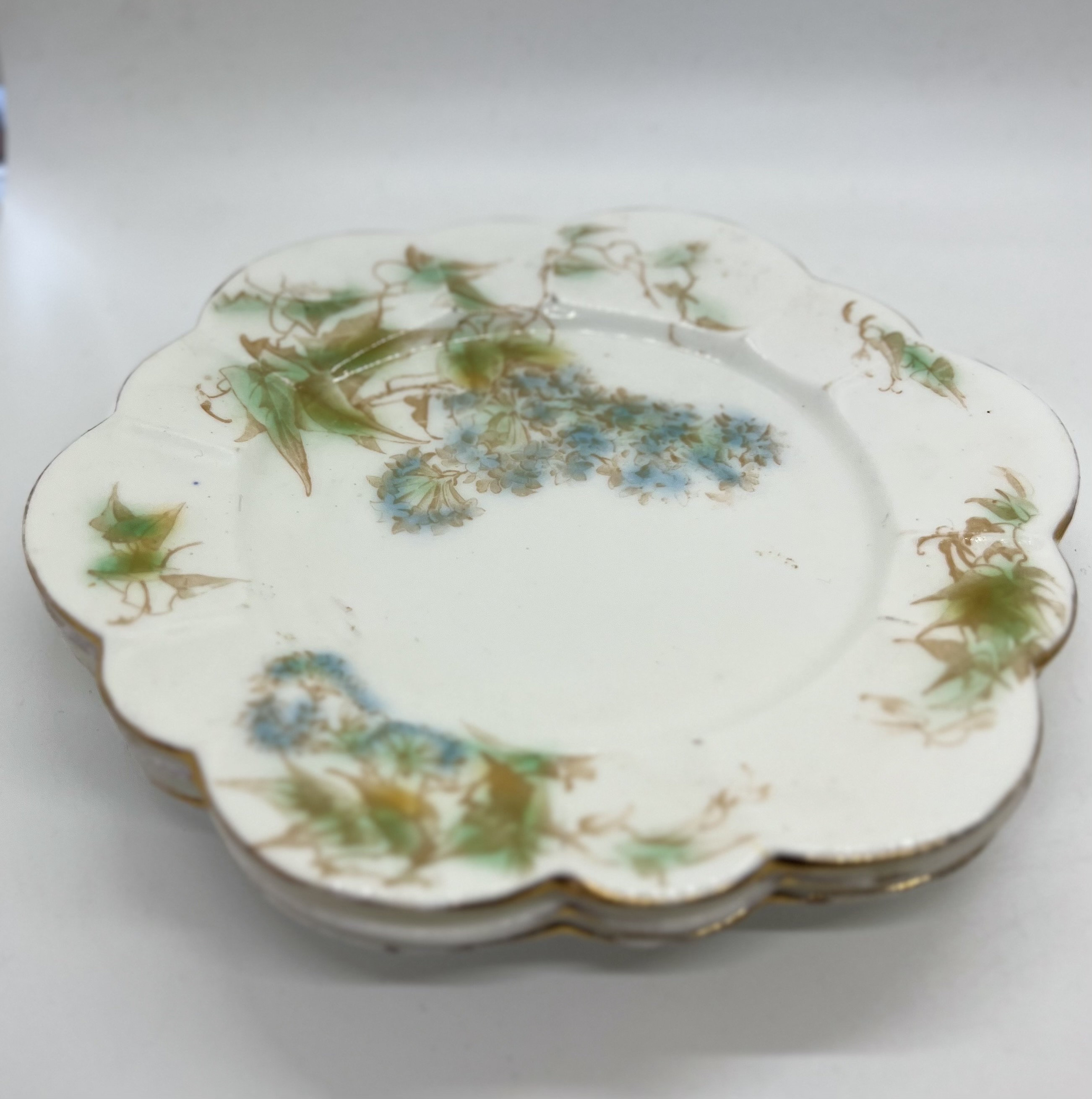 Antique Foley China Plate 3 Foley China England Antique Plates Foley ...