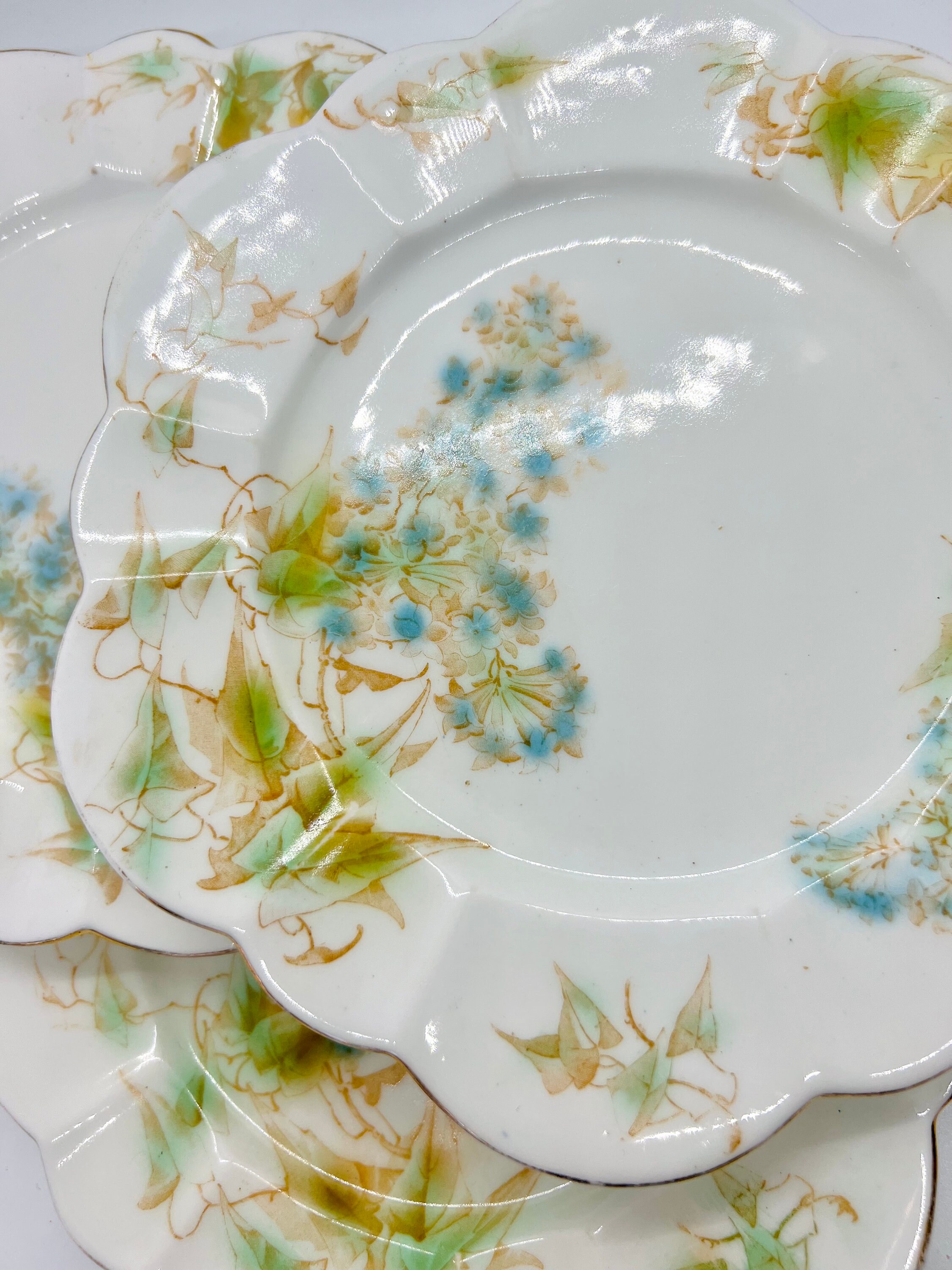 Antique Foley China Plate 3 Foley China England Antique Plates Foley ...