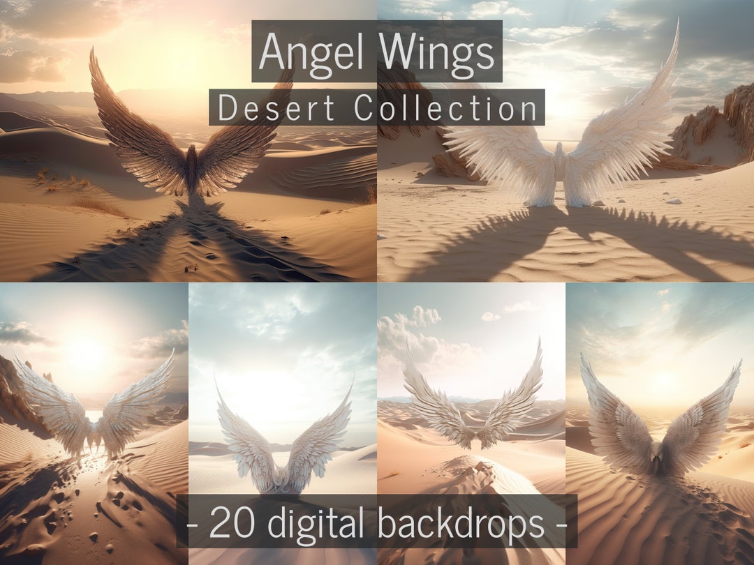 Desert Angel Wings Digital Backdrops, Maternity Backdrop Overlays ...