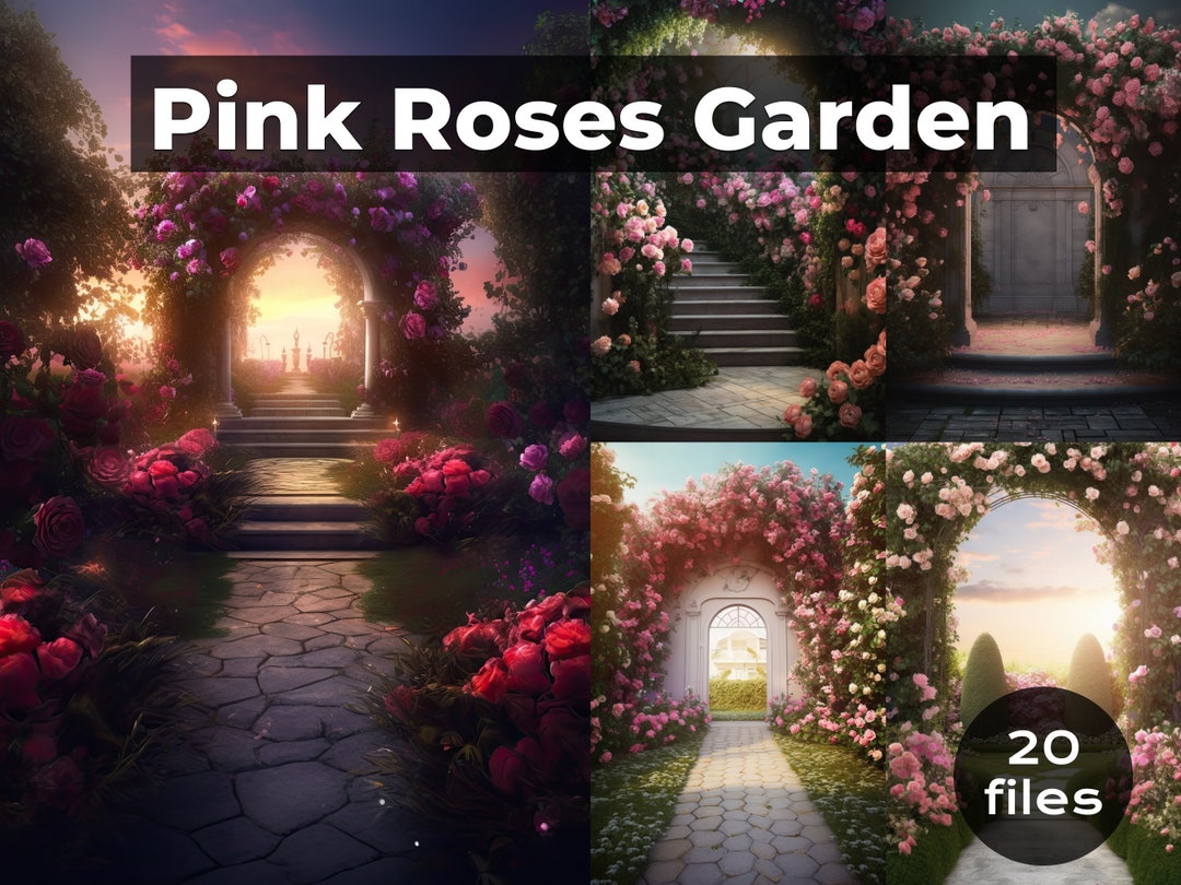 Pink Floral Digital Backdrop, Pink Roses Digital Overlay, Maternity ...