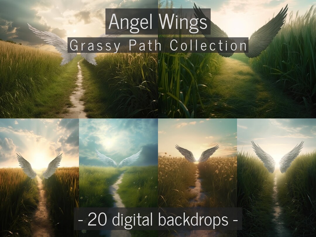 Grassy Path Angel Wings Digital Backdrops, Maternity Backdrop Overlays ...