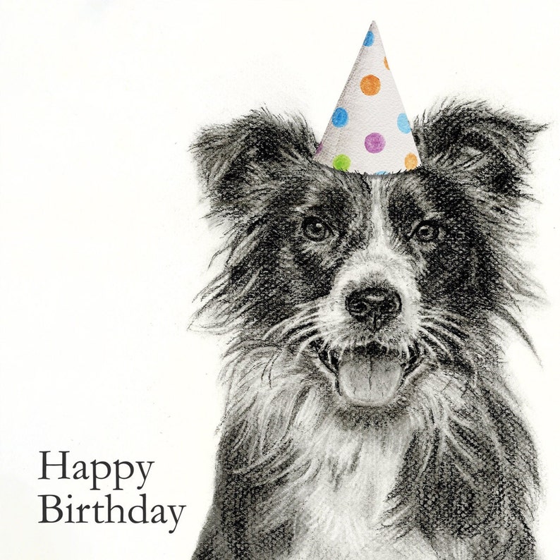 Border Collie Happy Birthday - Etsy